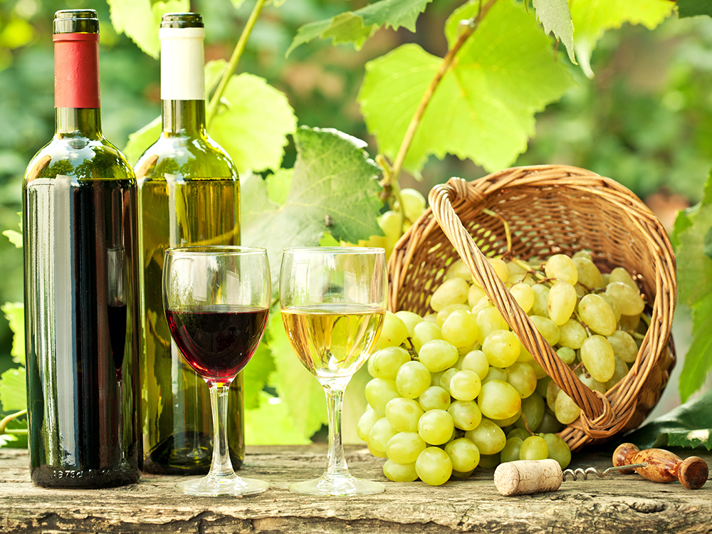 Grand Prix du Vin Suisse | Canada-Suisse