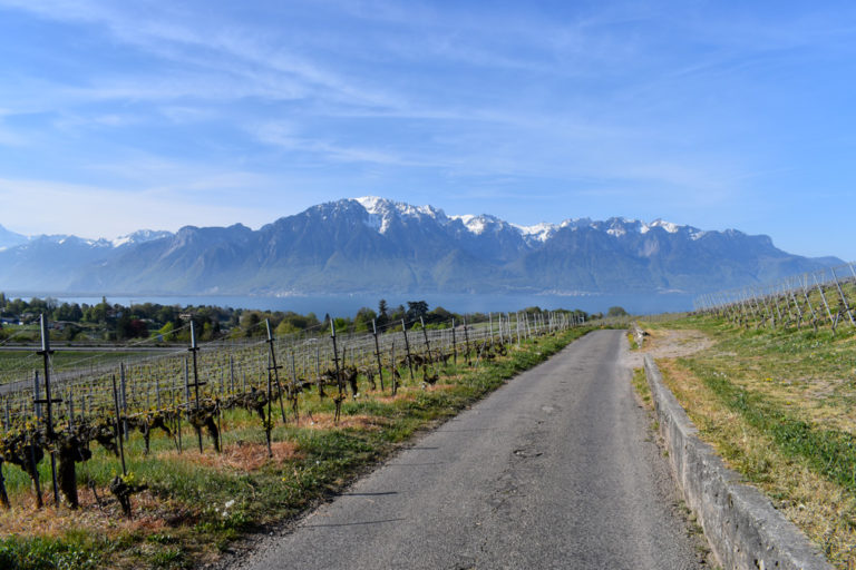 Château de Blonay | Canada-Suisse